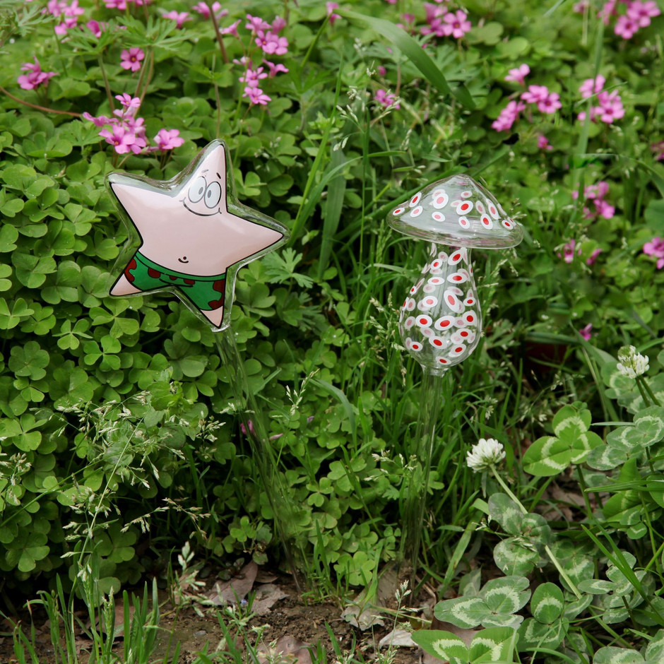 Baduglobal.ro Planta de apartament cu udare automata a plantelor de ...